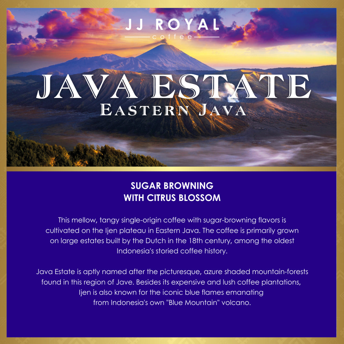 Java Estate Arabica Coffee 200g | JJ Royal Coffee Singapore