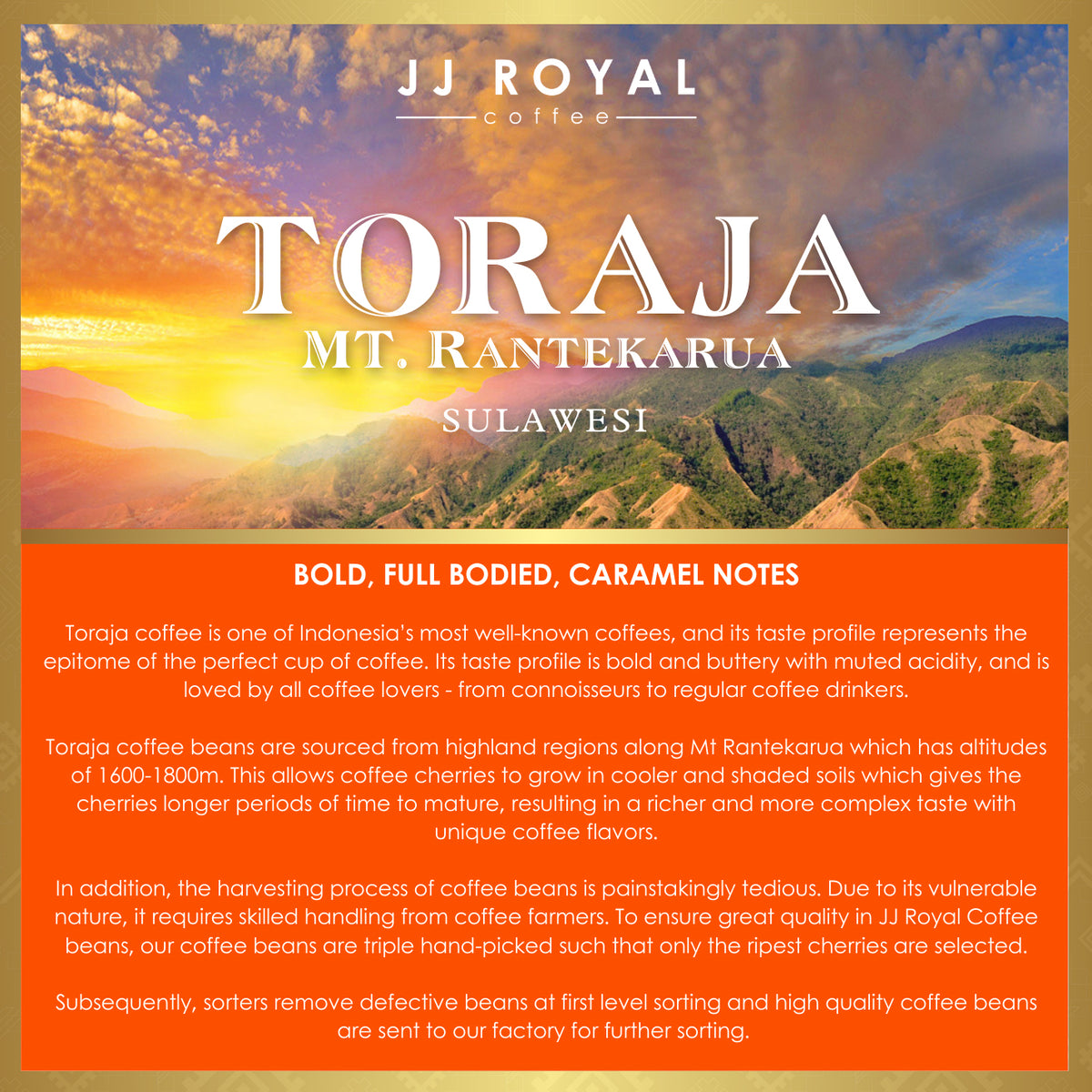 Toraja Sulawesi Single Origin Arabica Coffee Drip Filter | JJ Royal ...